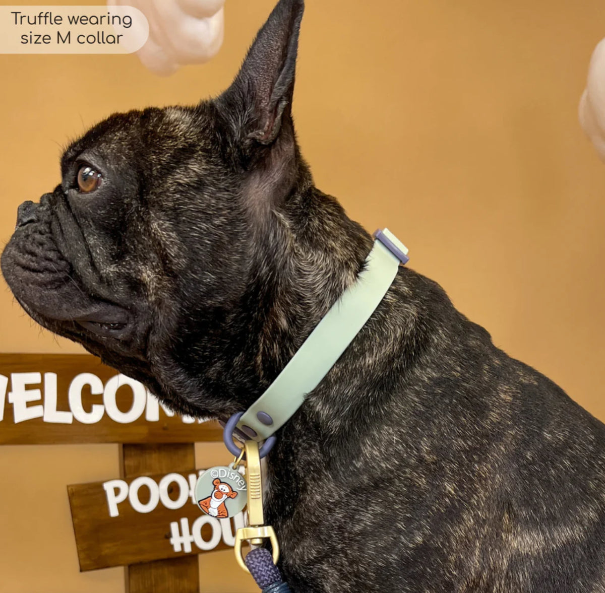 Waterproof collar - Winnie and Friends – Murphy & Bailey