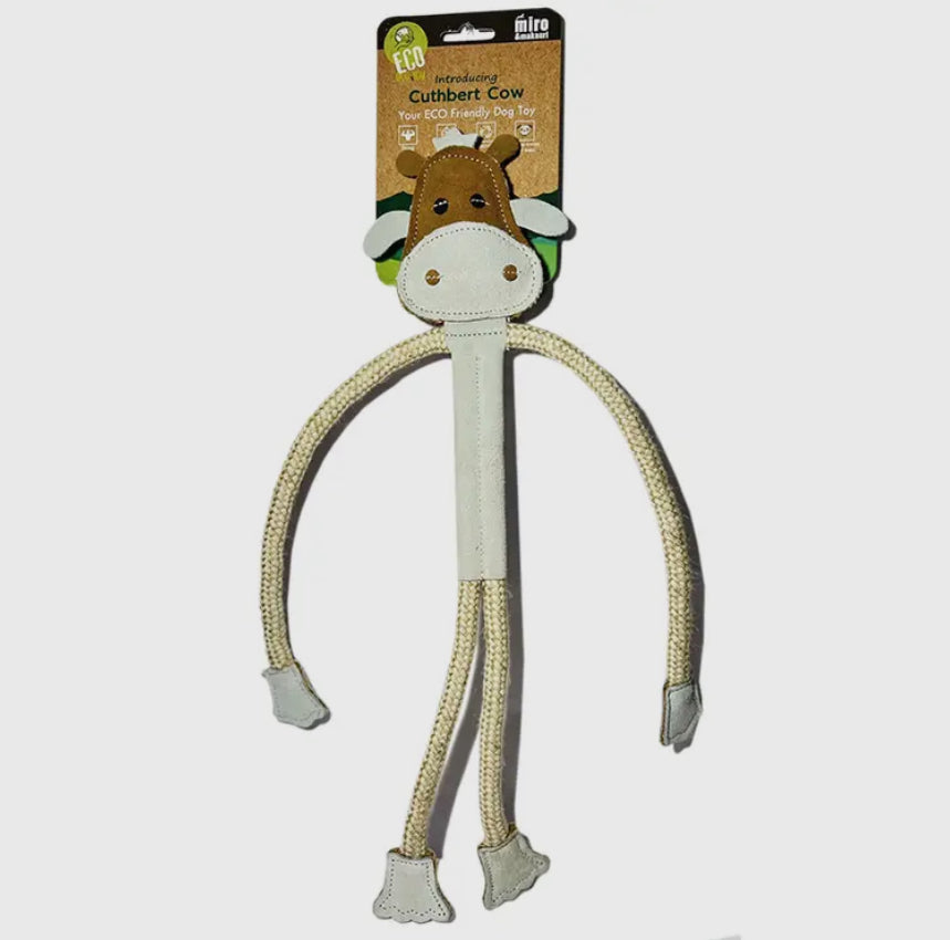 Cuthbert the Cow – Murphy & Bailey