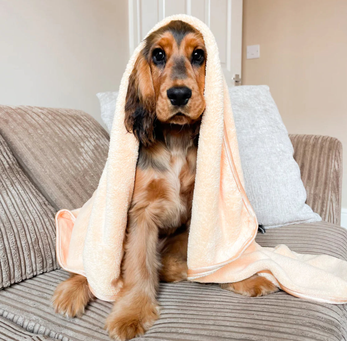 Micro Fibre Towel - Winnie the Pooh – Murphy & Bailey